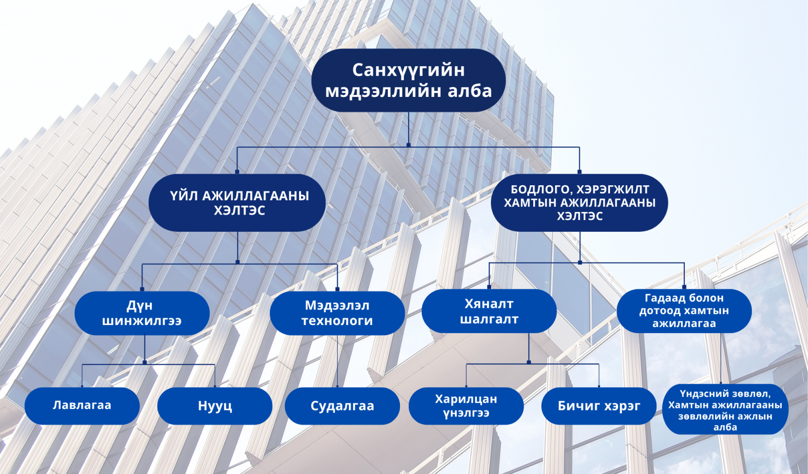Санхүүгийн мэдээллийн албаны бүтэц зохион байгуулалт